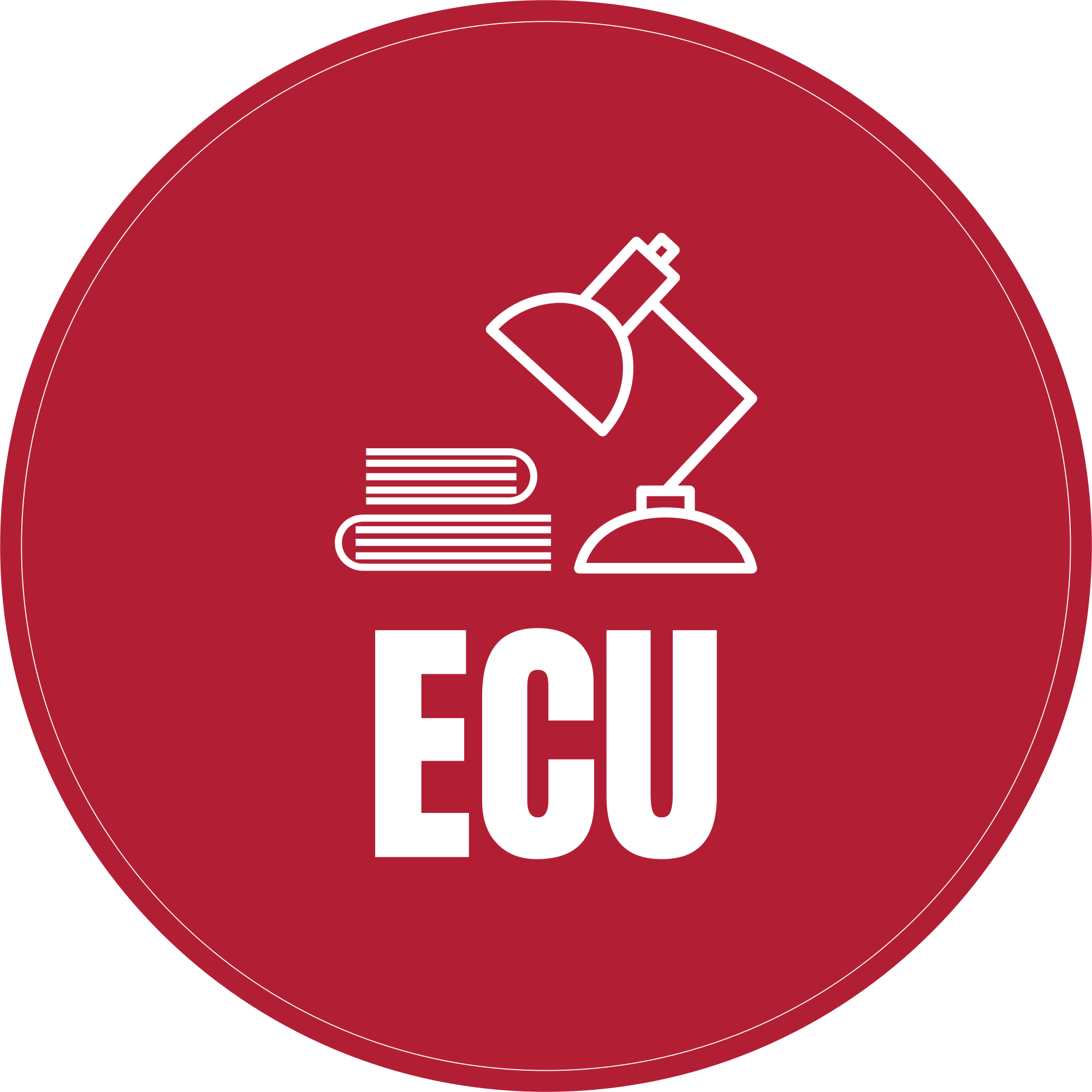 Mechatronics Engineering – ECU