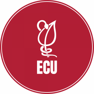 Mechatronics Engineering – ECU