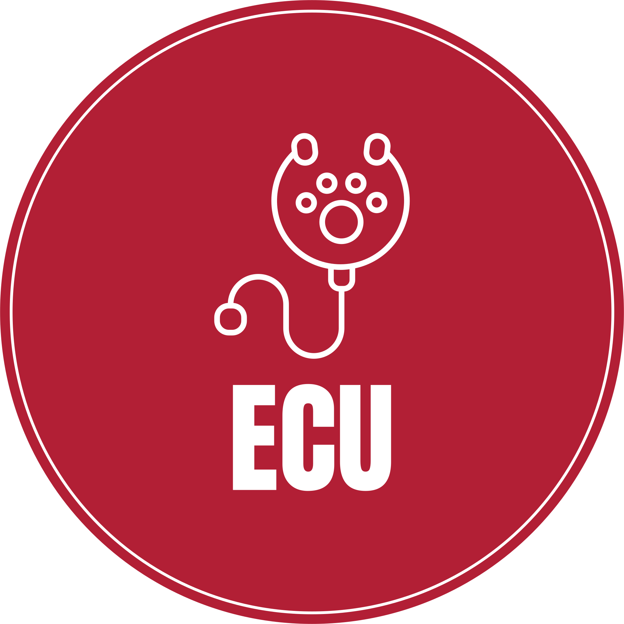 ECU – The Egyptian Chinese University