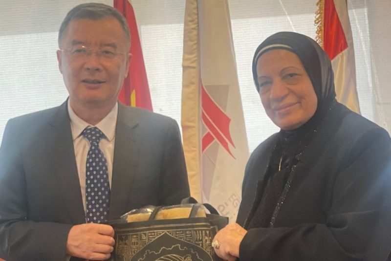 ECU – The Egyptian Chinese University